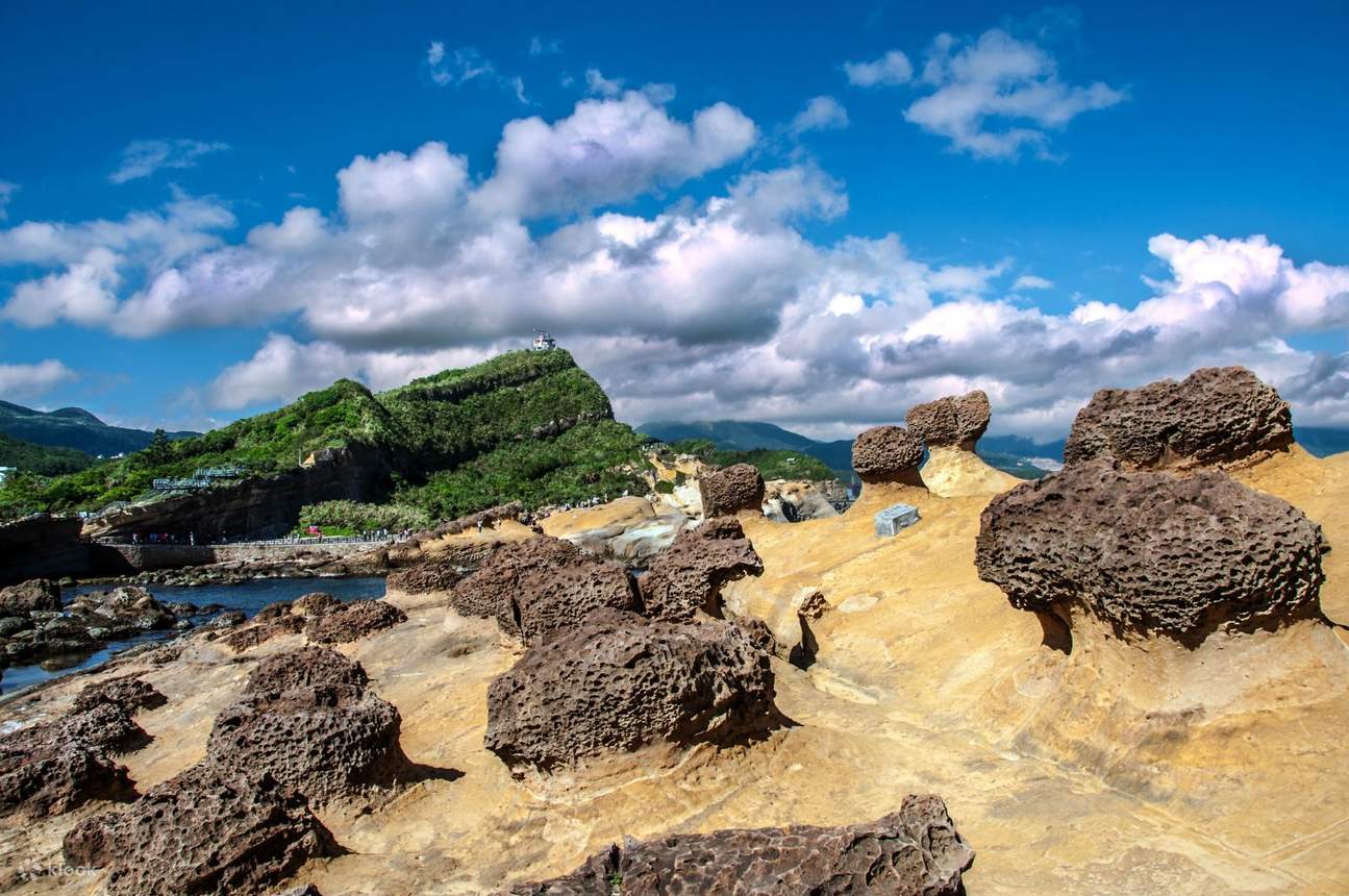 [Premium] 10:20 AM Yes Fox Township Taiwan Bus Tour Jiufen Night View ...